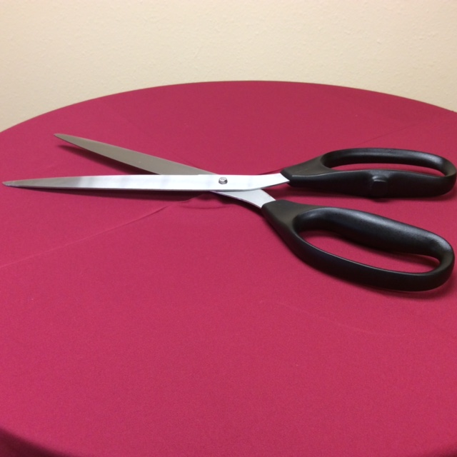 Ceremonial Cutting Scissors - American Party RentalAmerican Party Rental